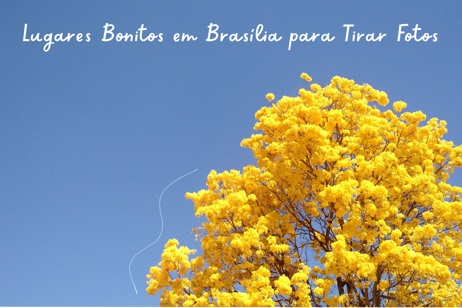 Lugares Bonitos em Brasília para Tirar Fotos: 15 Locais Imperdíveis!